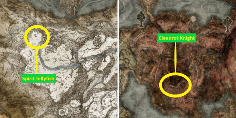 Elden Ring: How To Get and Use Trina's Lily