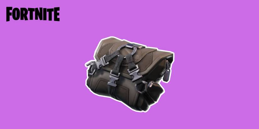 Fortnite: Rarest Back Blings
