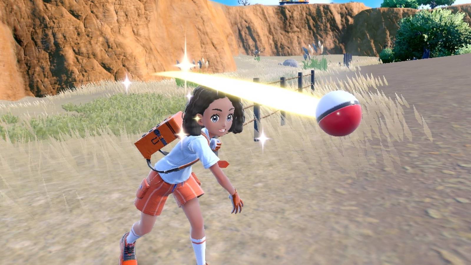 Pokemon Fan Finally Gets Final Pokewalker Reward After 3 Years