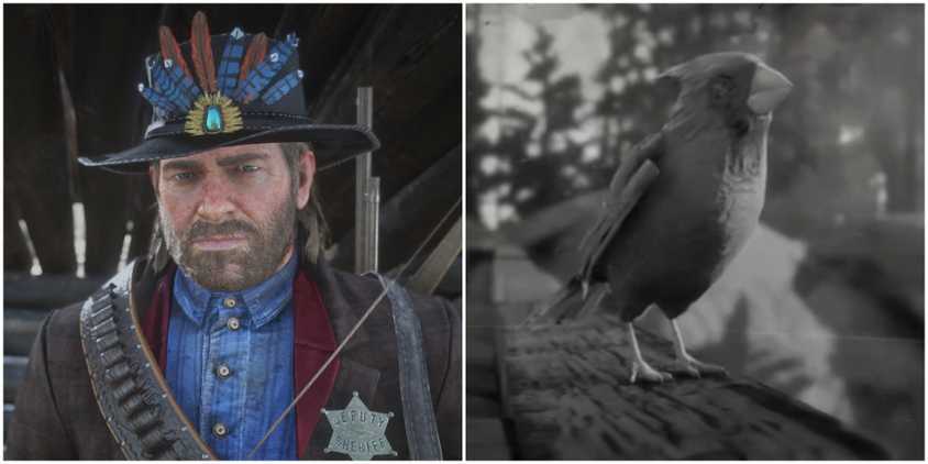 Red Dead Redemption 2: Where To Find Wintergreen Berries