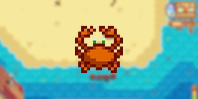 Stardew Valley: How to get Rainbow Shells and What They're For