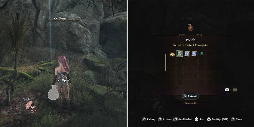 Baldur's Gate 3: What To Do With The Addled Frog