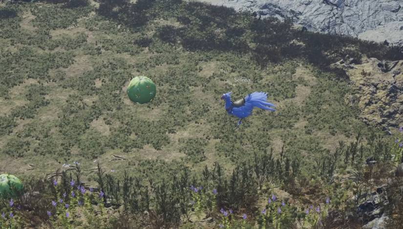 Final Fantasy 7 Rebirth: All Chocobo Types and How to Get Them