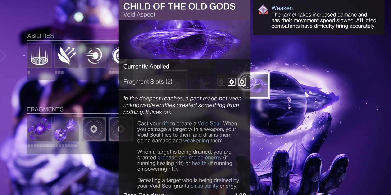 Best Void Aspects In Destiny 2