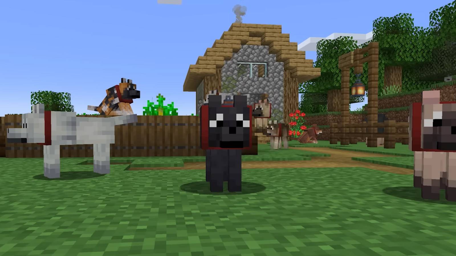 Minecraft's New Wolf Variants are a Bittersweet Addition