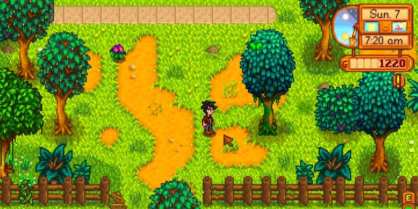 How to Get Moss in Stardew Valley
