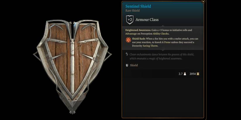 Baldur's Gate 3: How to Get Sentinel Shield