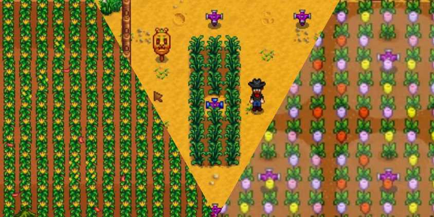 Stardew Valley: Every Fall Crop, Ranked