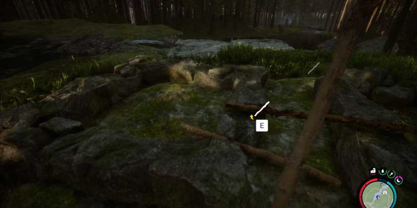 Sons Of The Forest: How To Get Turtle Shells