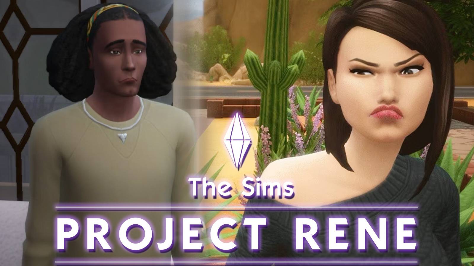 Alleged Sims 5 Leak Has Fans Worried