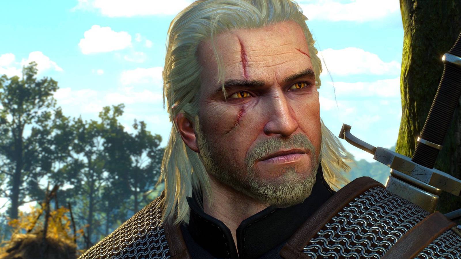 One Small Feature Could Work Wonders for The Witcher's Multiplayer Game