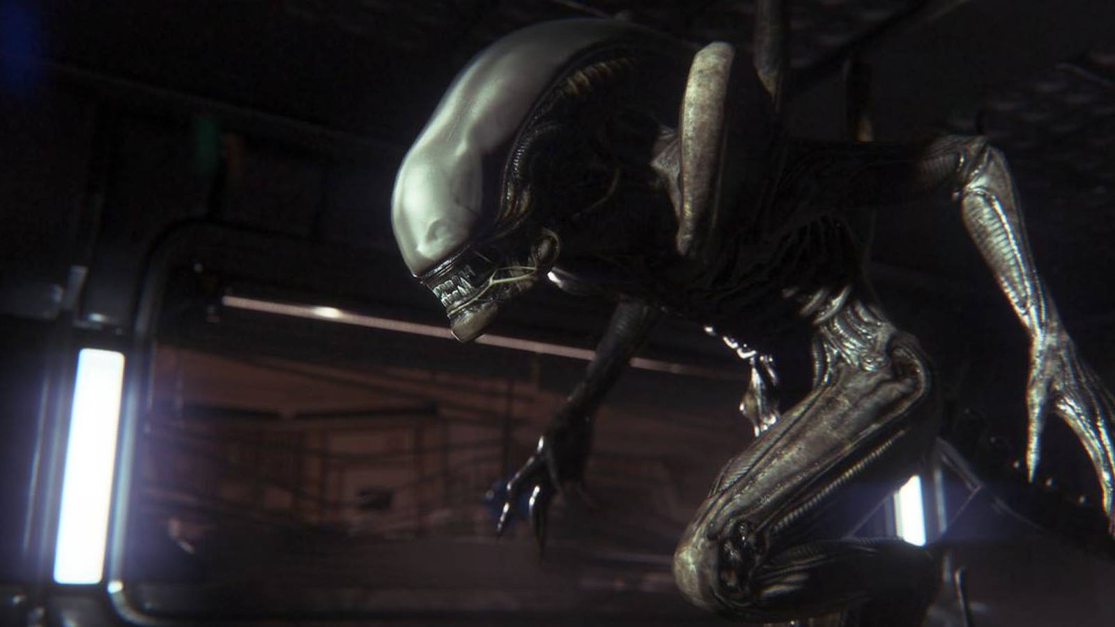 Alien: Every Xenomorph Type, Explained