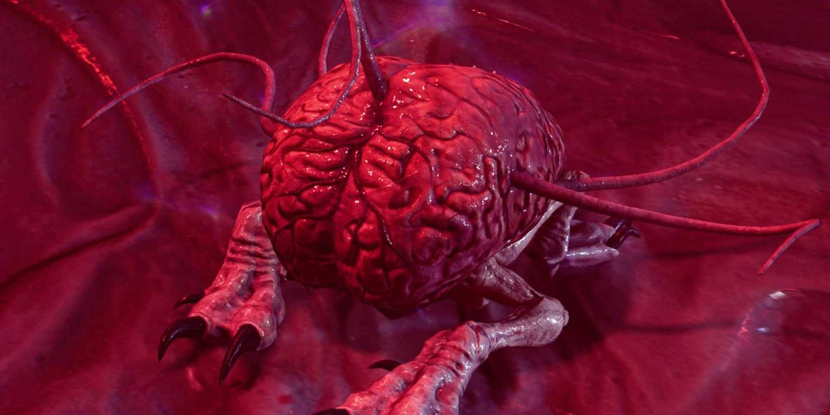 How to Get All Baldur's Gate 3 Summonable Companions & Pets