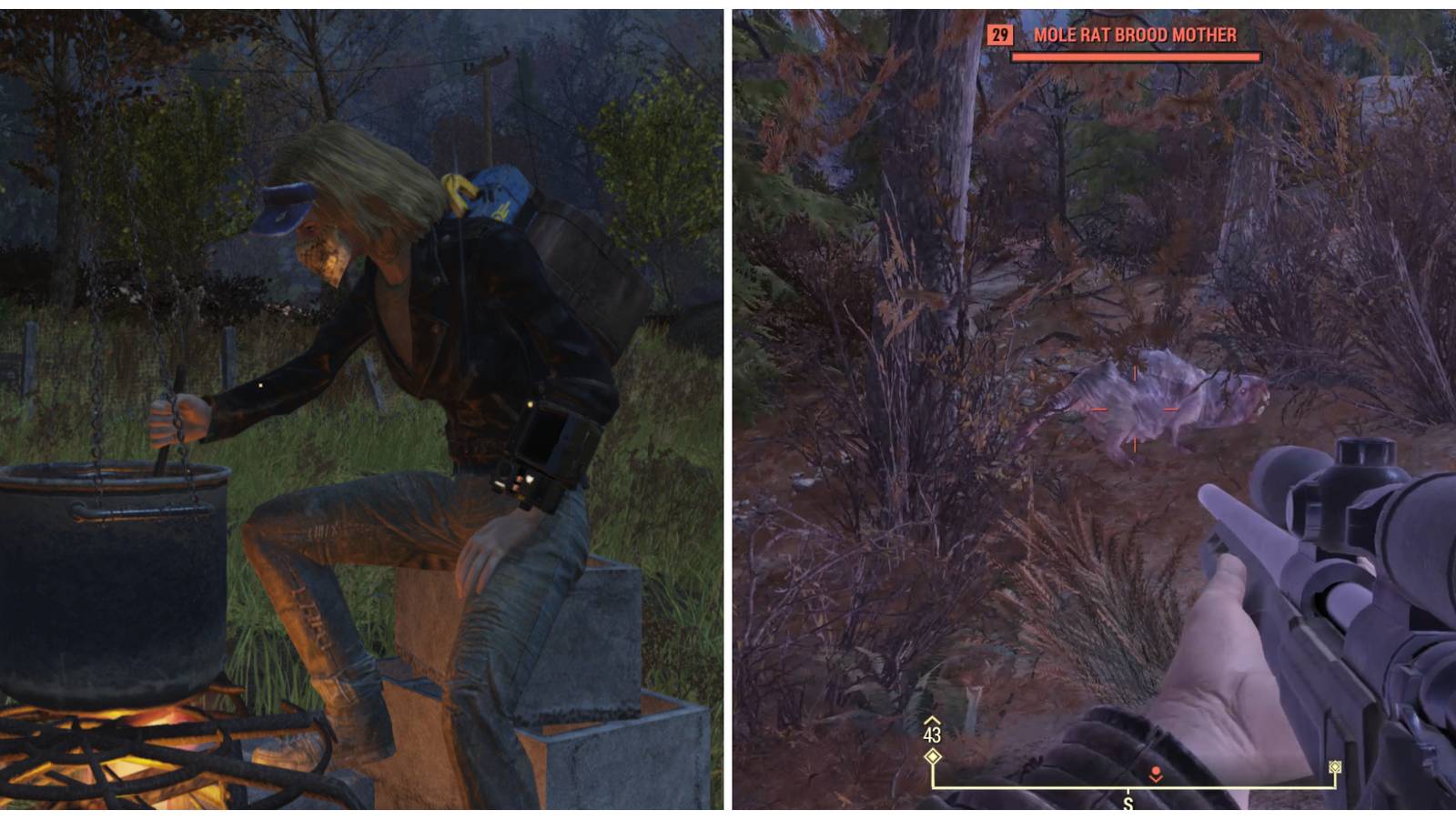 Can You Play Fallout 76 Solo and Offline?