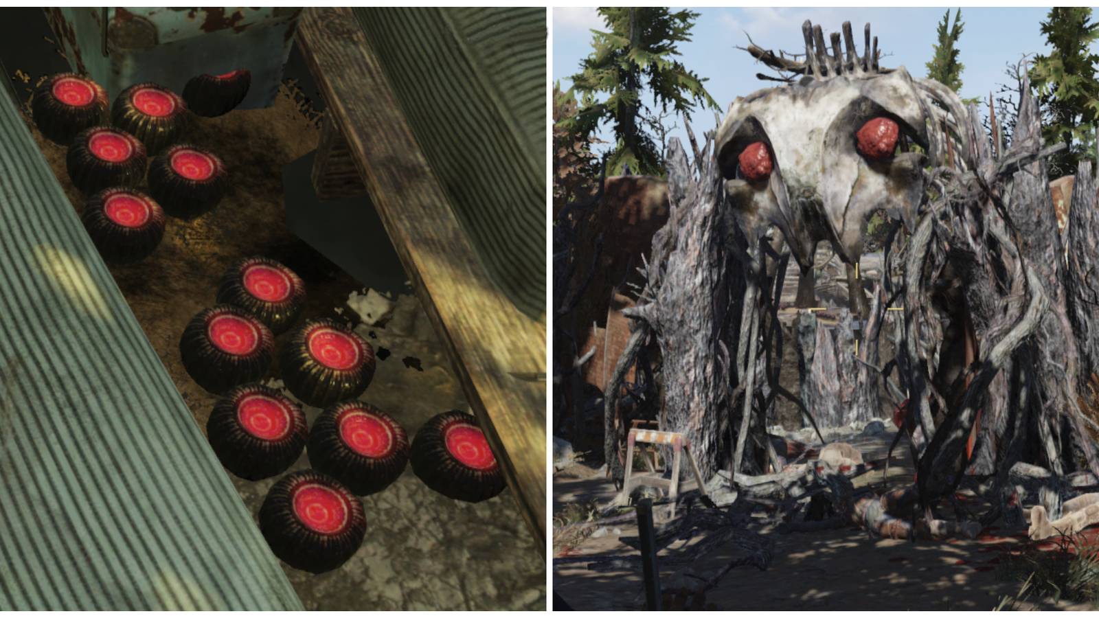 Fallout 76: Mothman Egg Locations