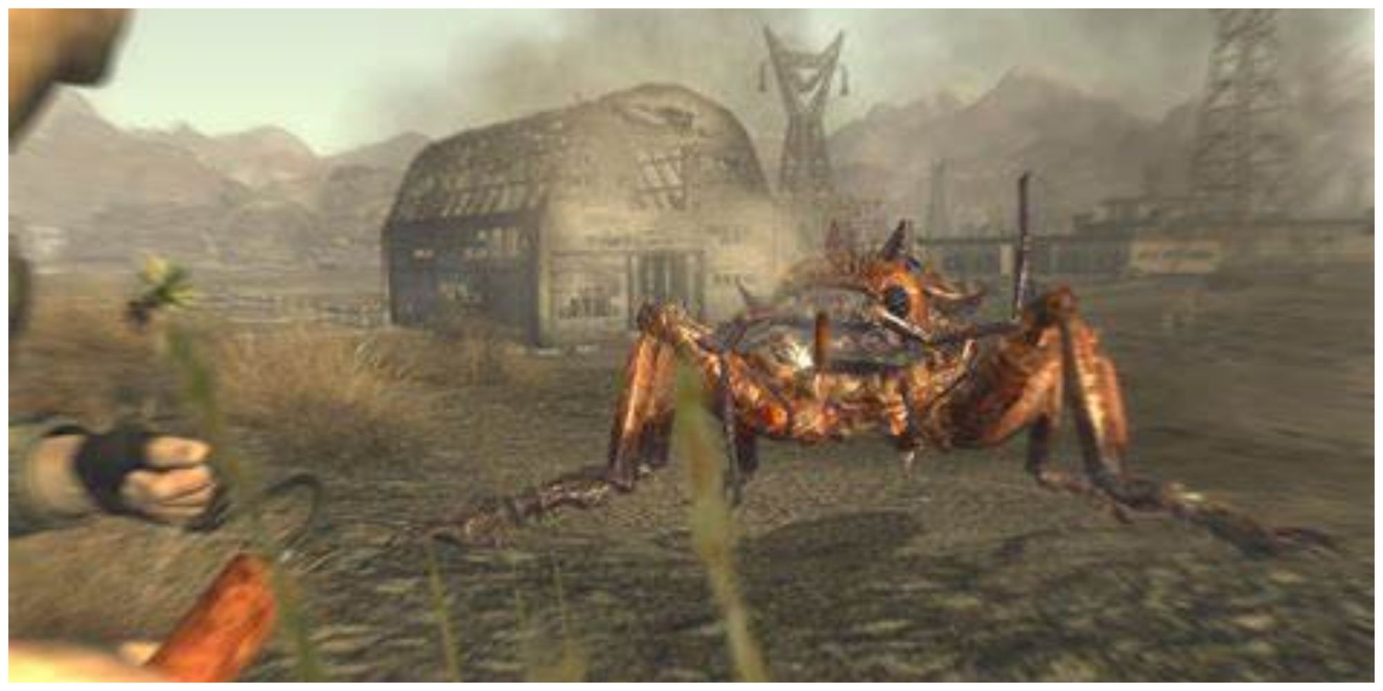 Fallout 4 Stingwing Related