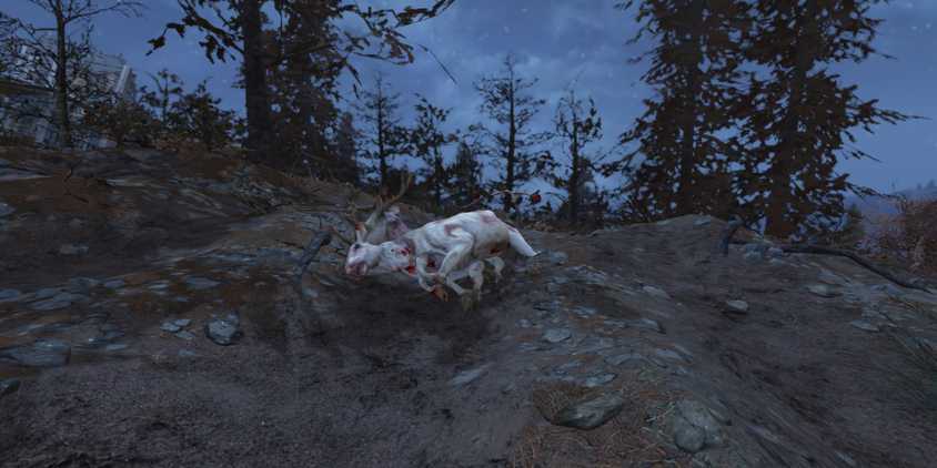 Fallout 76: Assaultron Locations