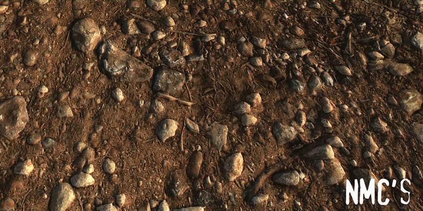 Fallout New Vegas: 5 Best Texture Mods