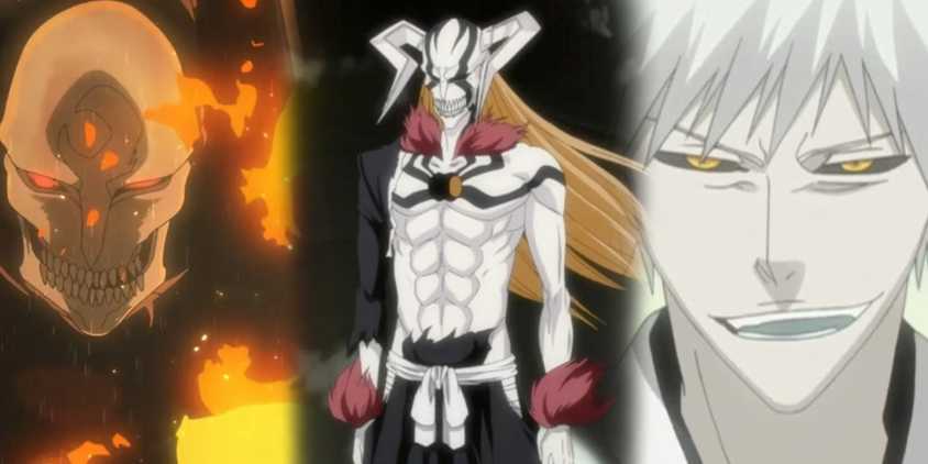 Bleach: Hollow Classes Explained