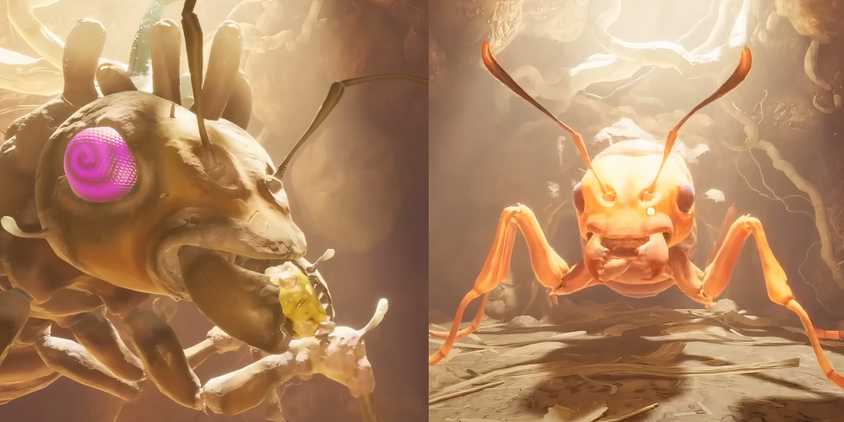 Best Builds In Grounded