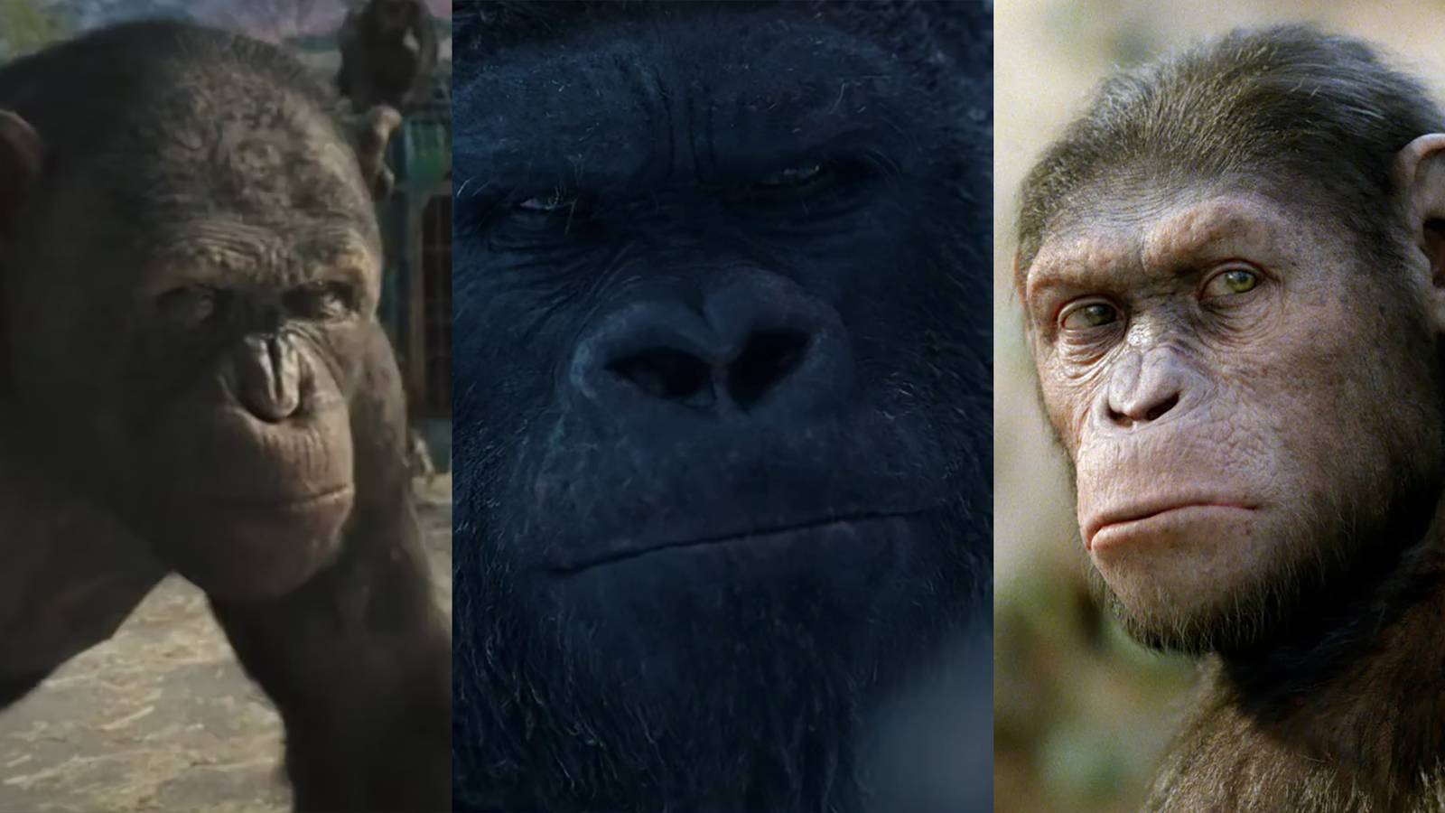 مگان فاکس در اسارت