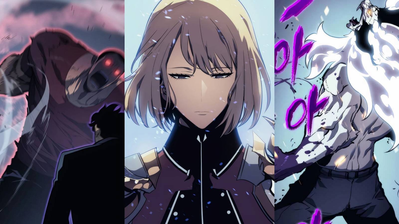 Solo Leveling: Arise – Best Fighter Characters, Ranked