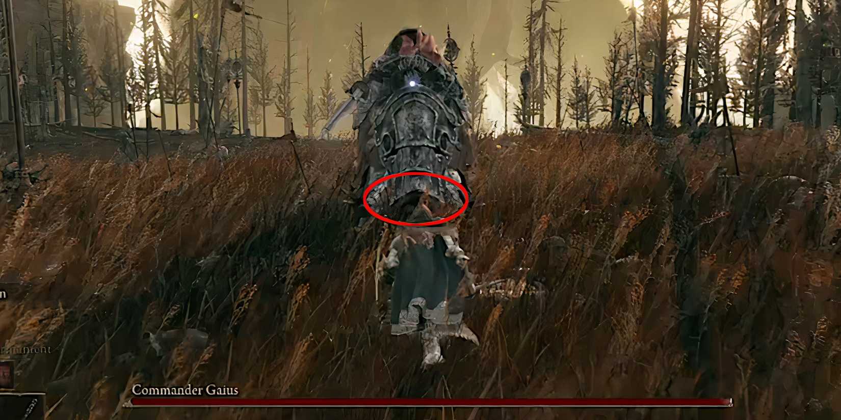 How To Beat Commander Gaius In Elden Ring: Shadow Of The Erdtree