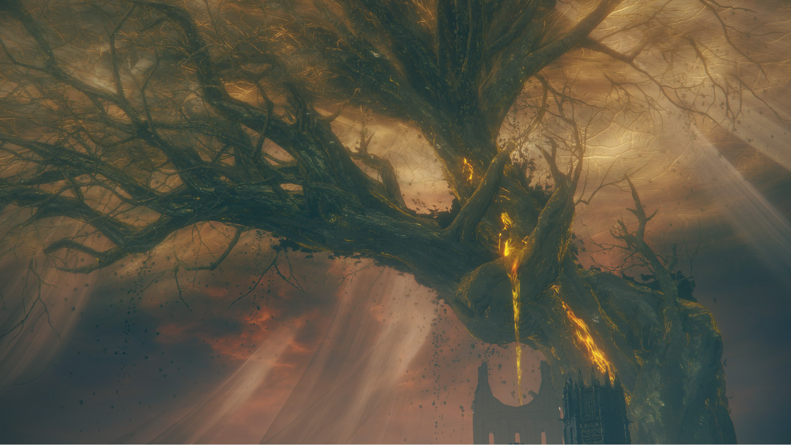 Things You Should Do First In Elden Ring: Shadow of the Erdtree