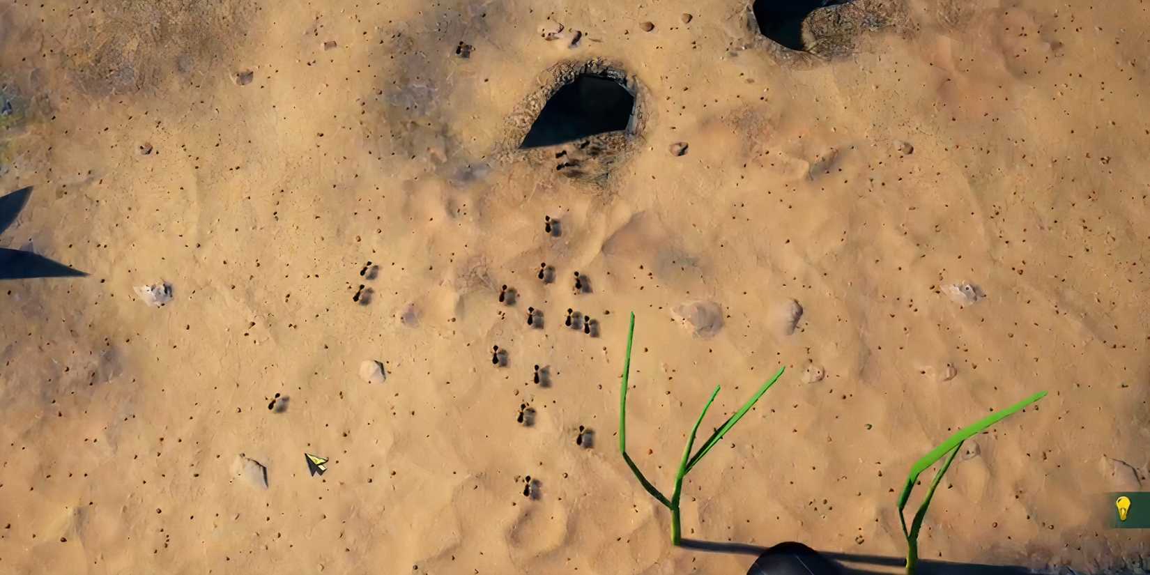 Best Ant Species In Empires Of The Undergrowth