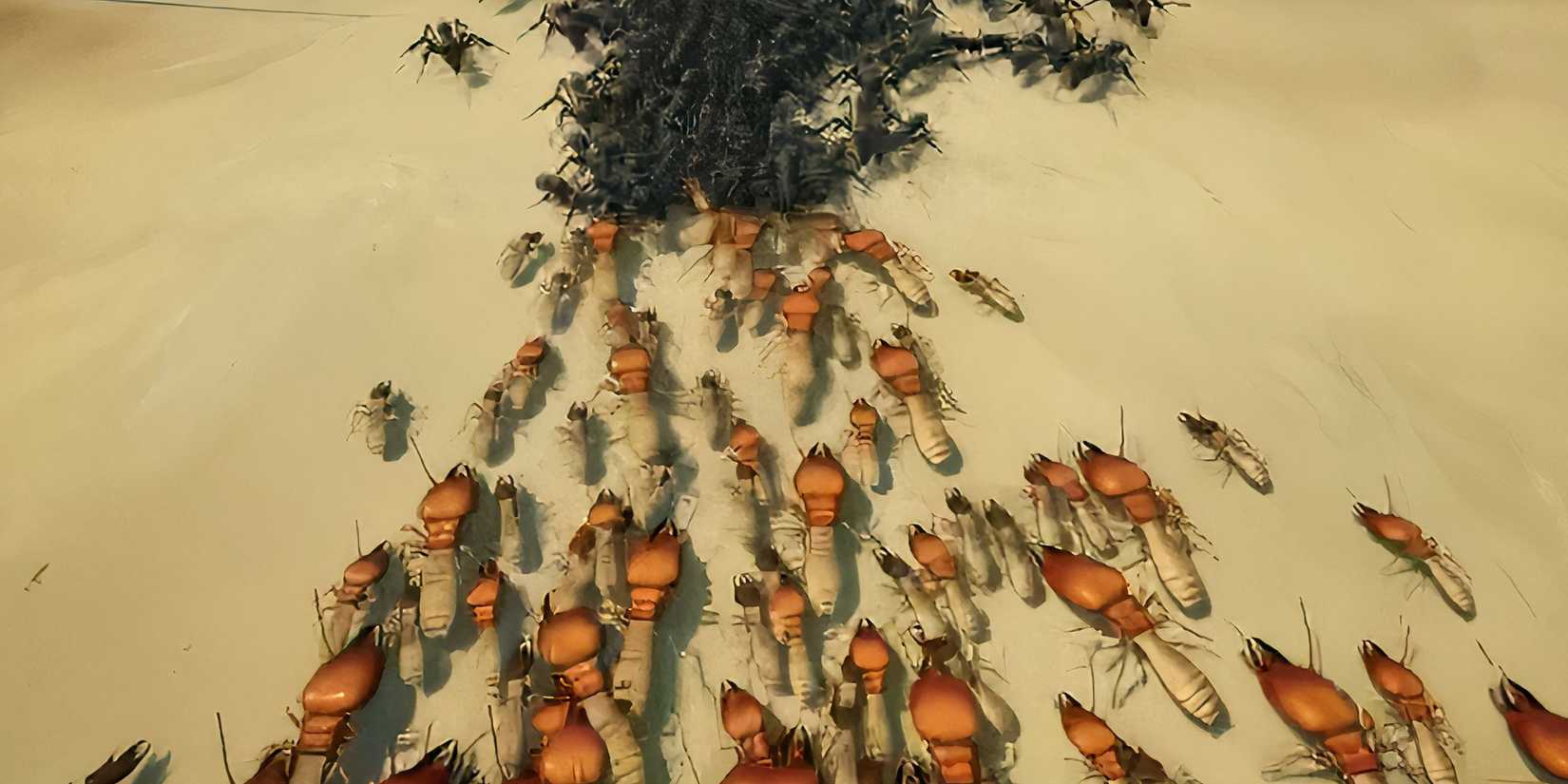 Best Ant Species In Empires Of The Undergrowth