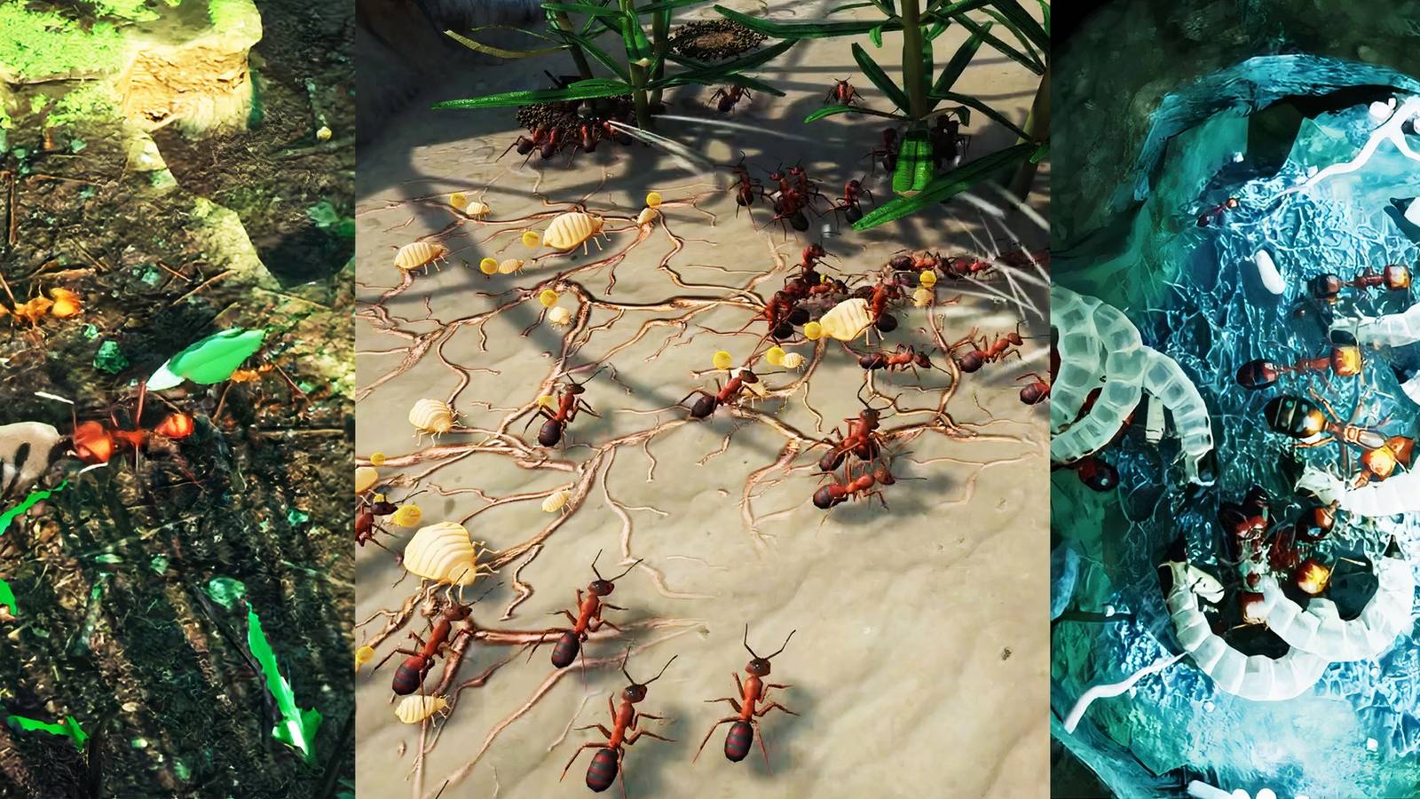 Best Ant Species In Empires Of The Undergrowth