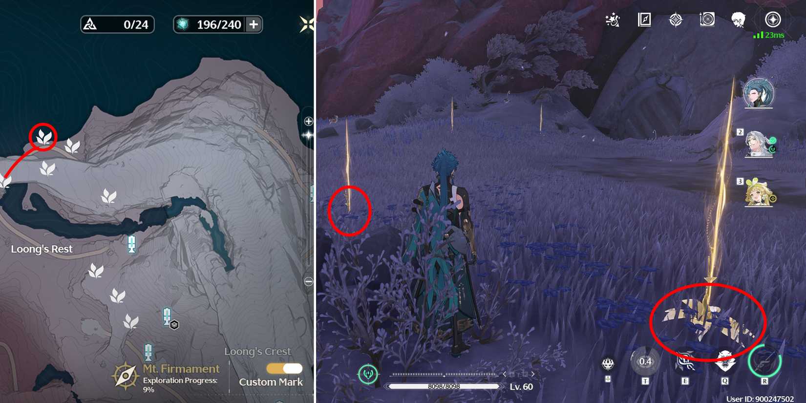 Loong Pearl Locations & Farming Route
