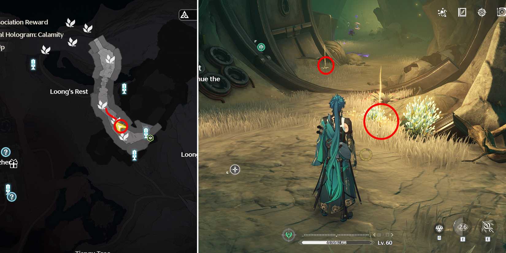Loong Pearl Locations & Farming Route - Wuthering Waves
