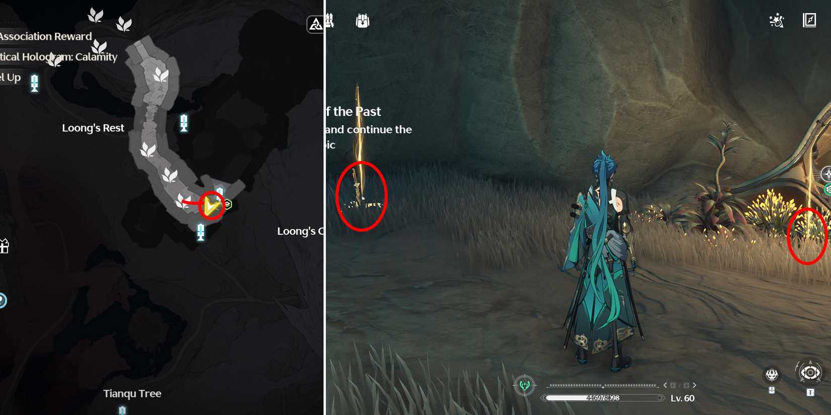 Loong Pearl Locations & Farming Route
