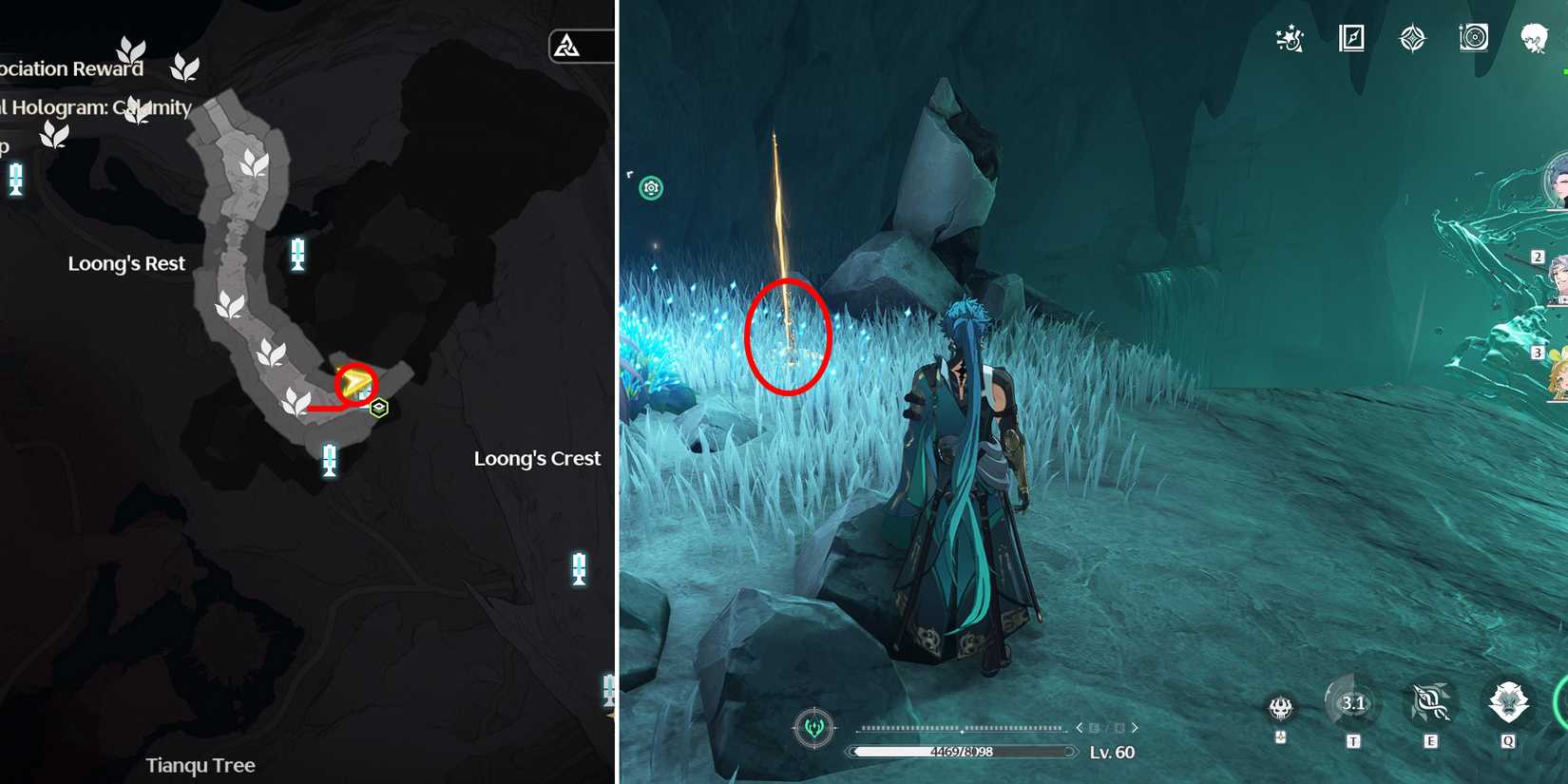 Loong Pearl Locations & Farming Route
