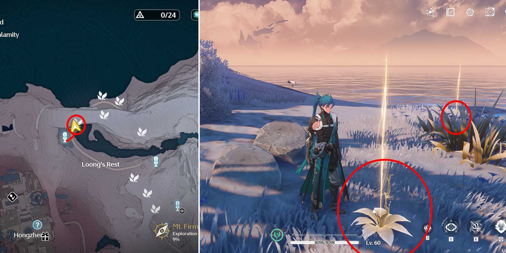 Loong Pearl Locations & Farming Route - Wuthering Waves