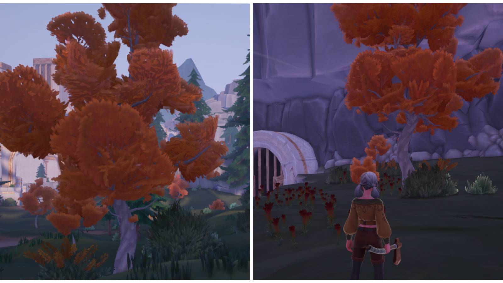 Where to Find Juniper Seeds in Palia