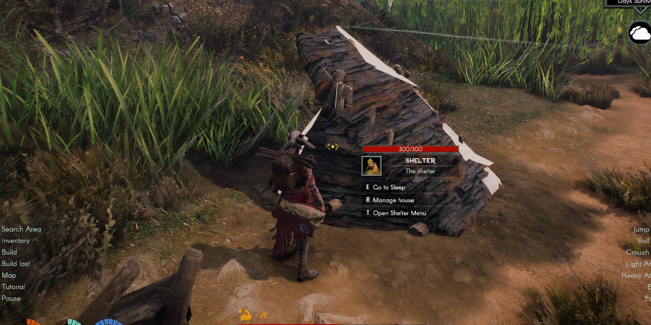 ASKA: How to Heal and Build a Shelter