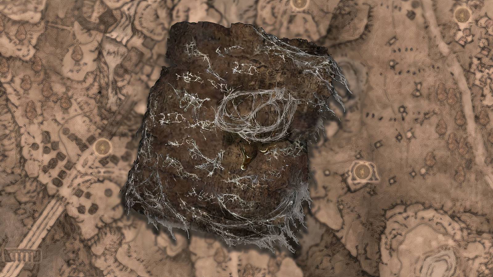 All Forager Brood Cookbook Locations in Elden Ring DLC