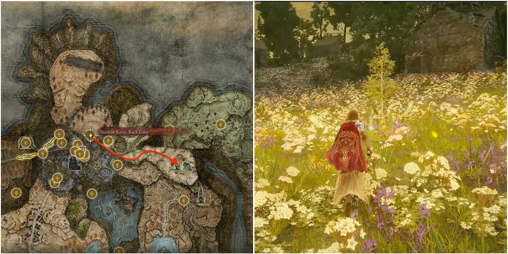 How To Get To The Shaman Village in Elden Ring: Shadow Of The Erdtree