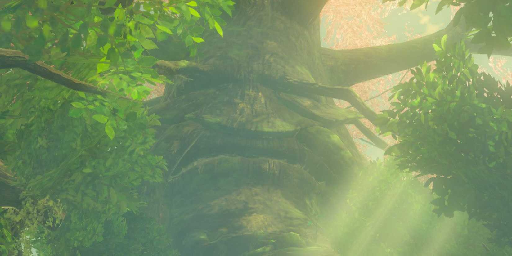 Facts About The Legend Of Zelda's Great Deku Tree