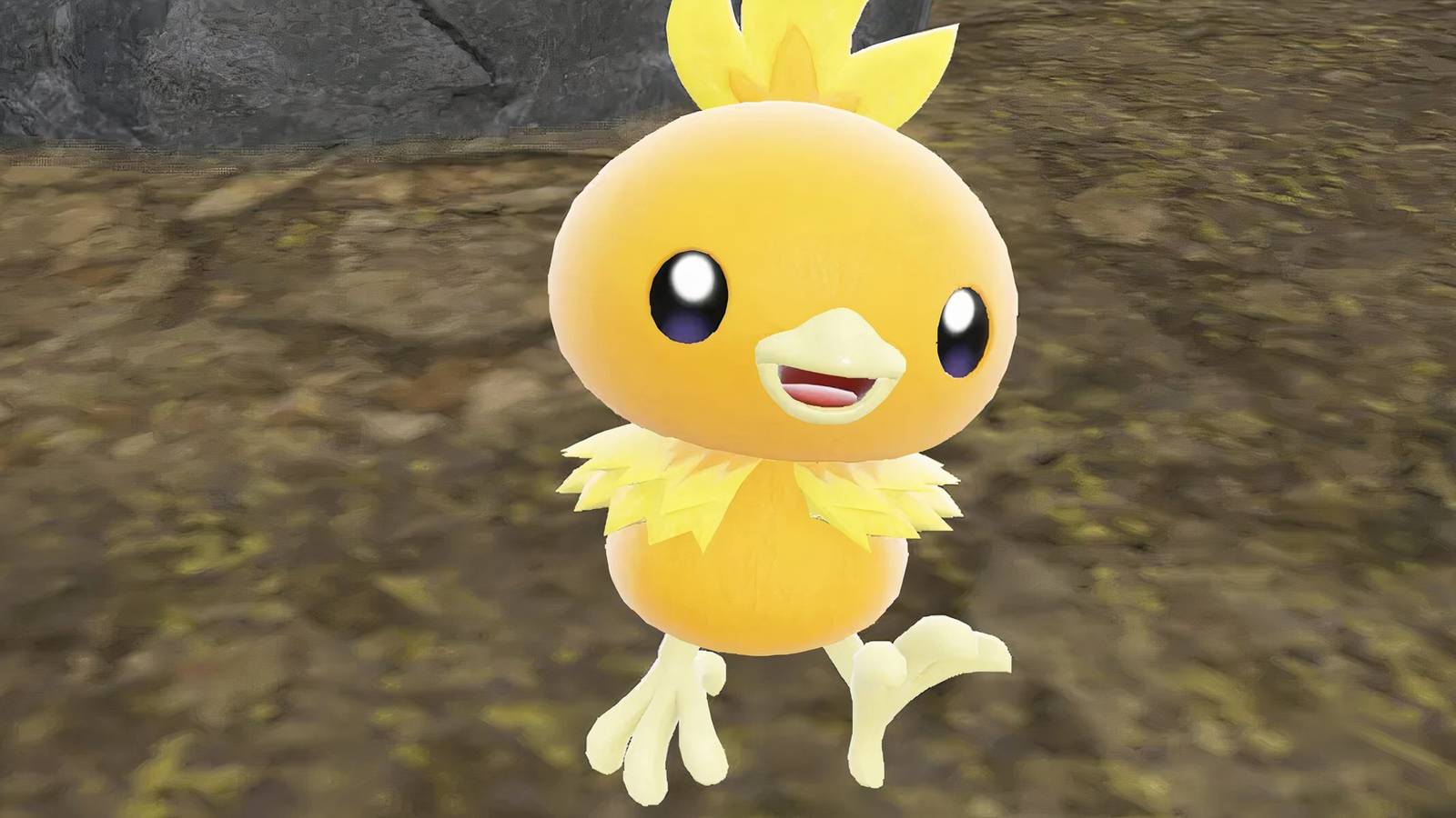 Pokemon Fan Creates Incredibly Realistic Animation of Torchic