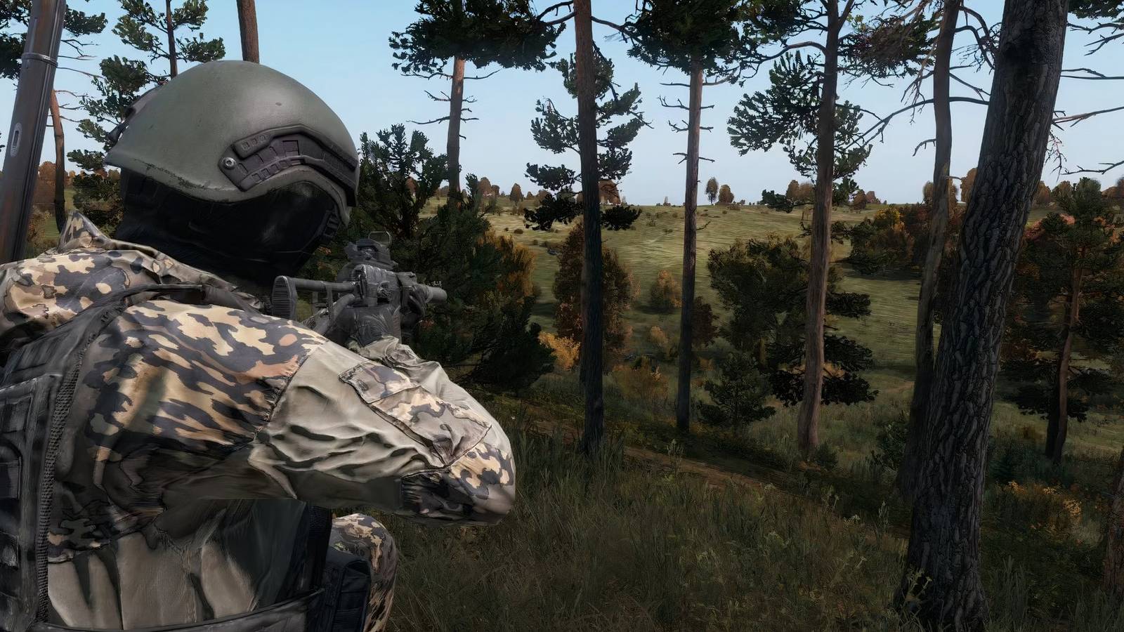 The Best Assault Rifles In DayZ