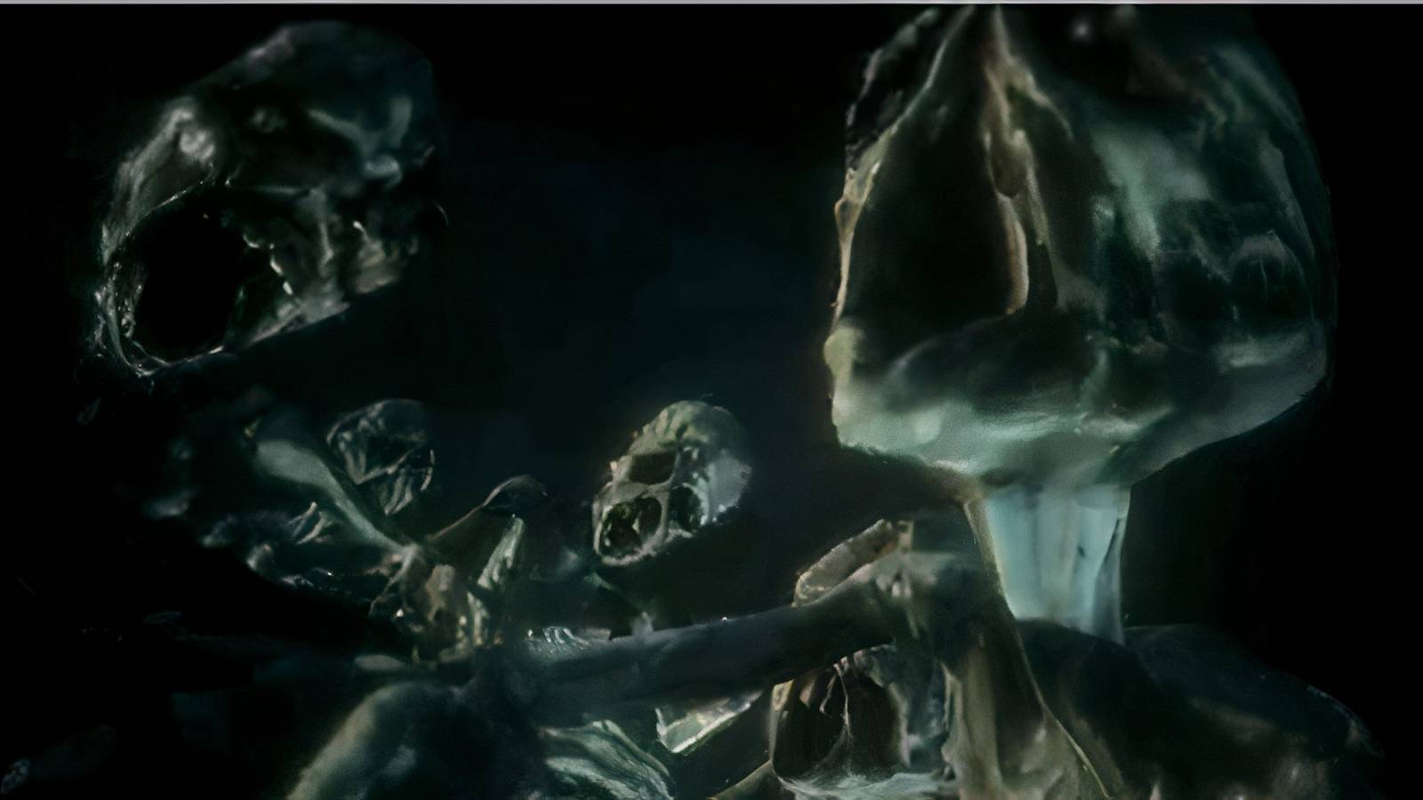 Bloodborne - Official Story Trailer