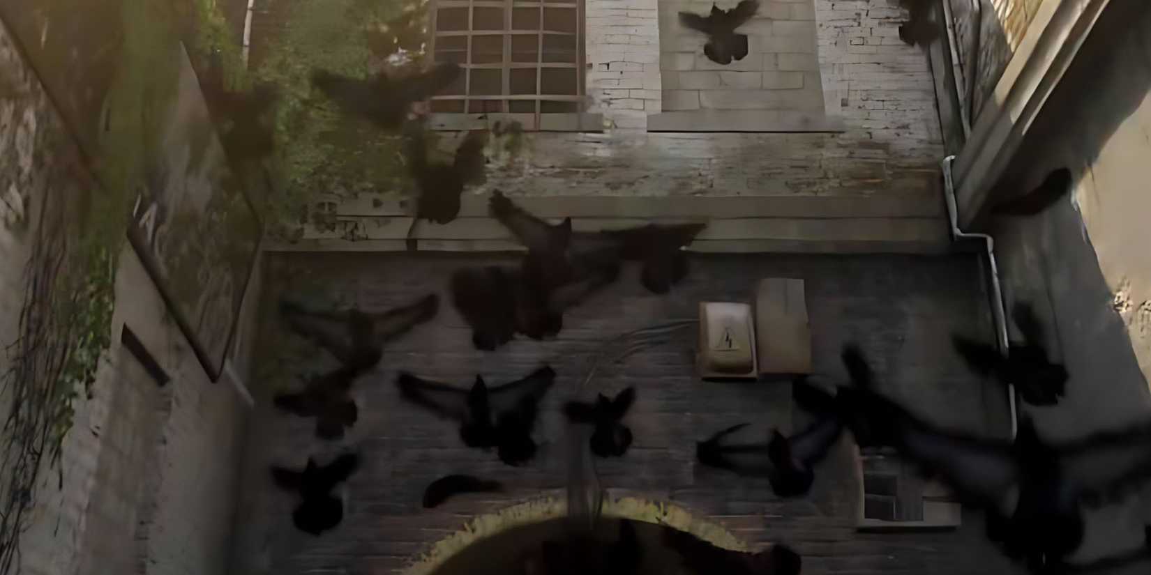 MW3 and Warzone: How to Unlock The Crow Operator