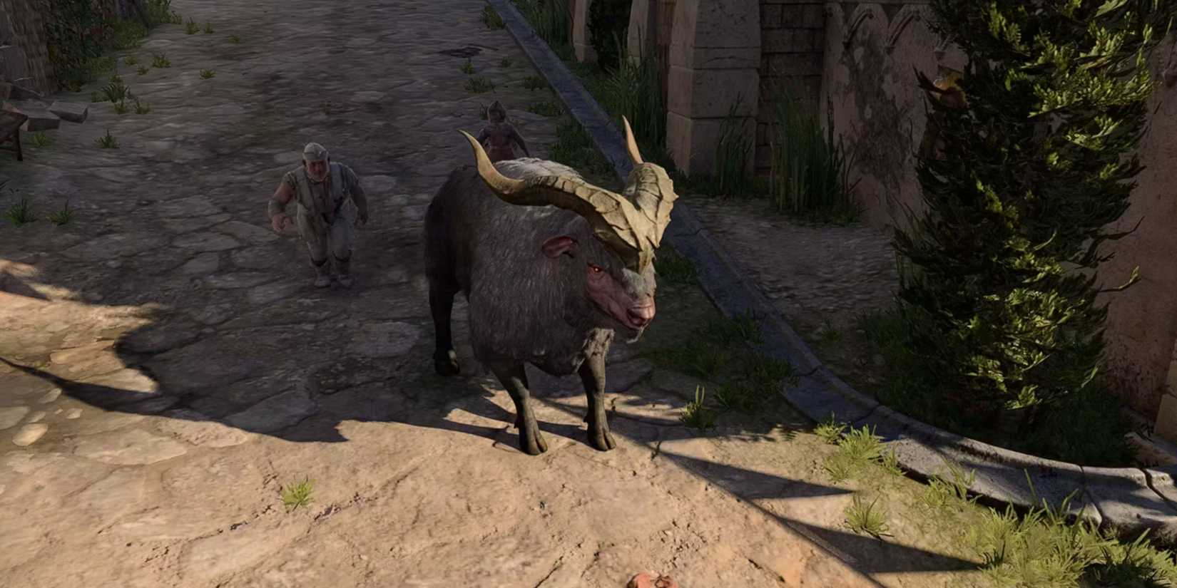 Baldur's Gate 3: All Druid Wild Shape Forms, Ranked