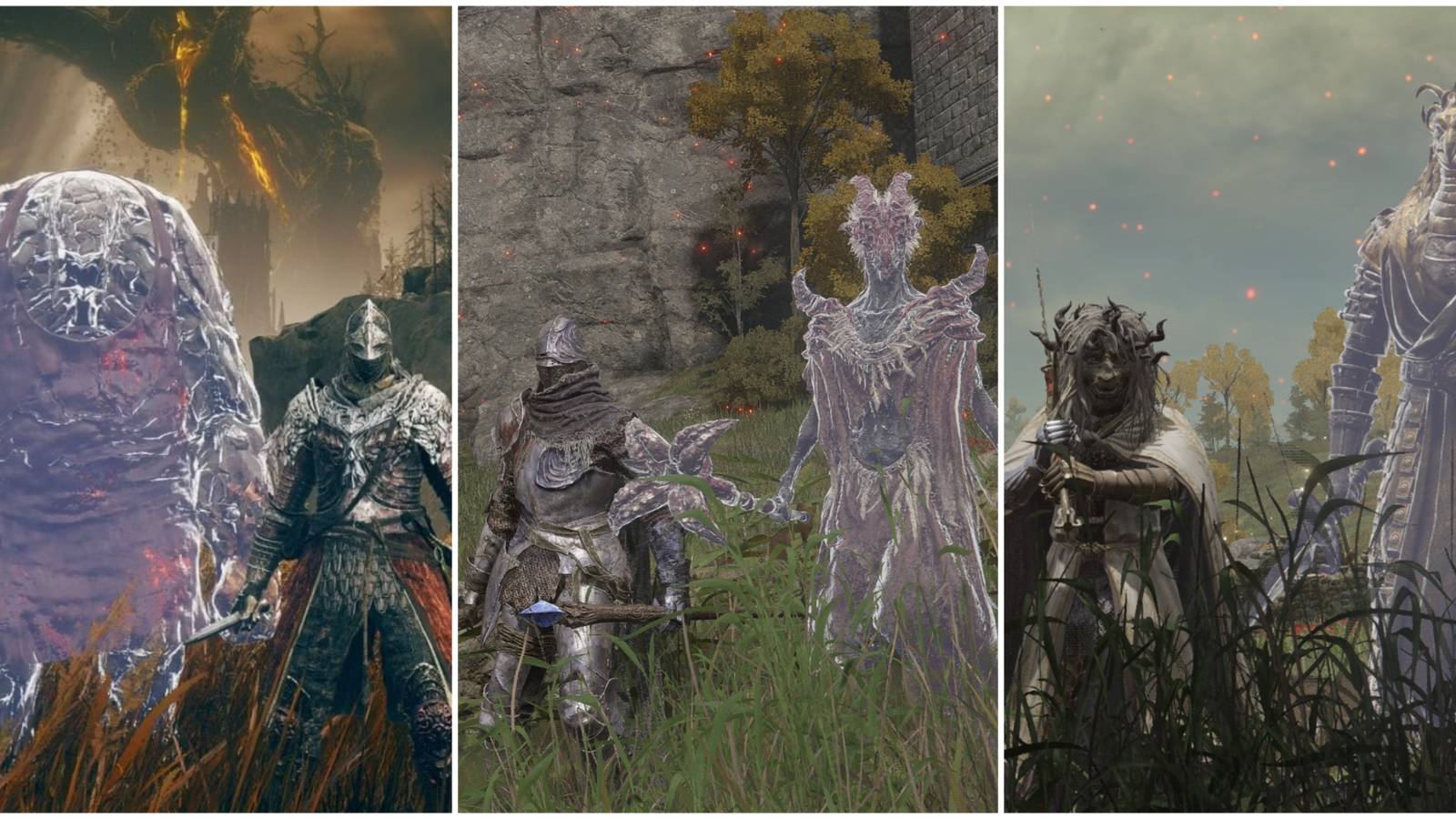 All Legendary Spirit Summon Locations in Shadow of the Erdtree