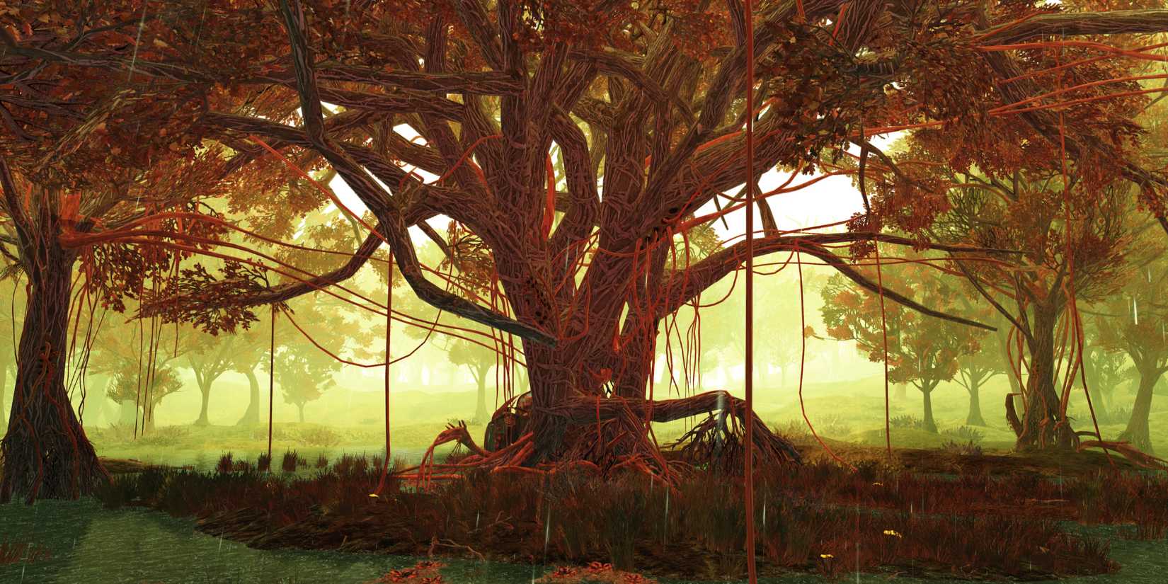 Fallout 76: Where to Find Gourd Blossoms