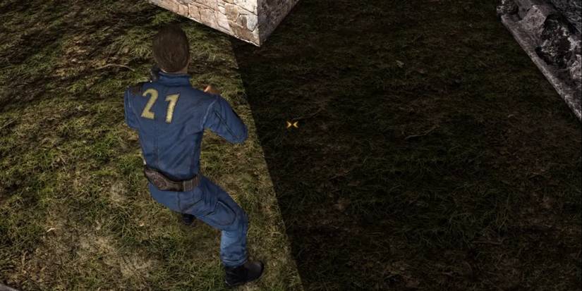 Best Graphics Mods For Fallout New Vegas