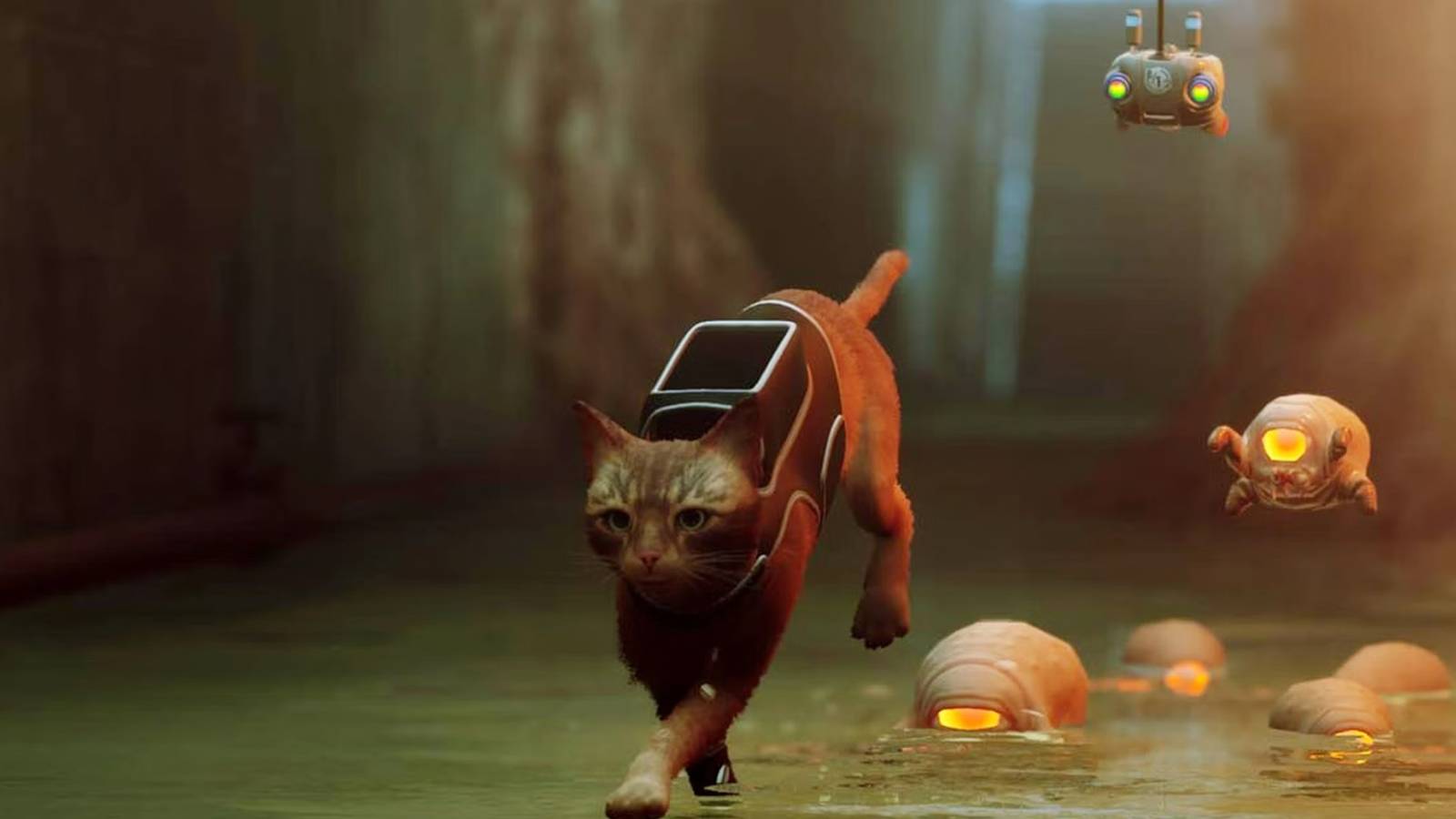 Stray Developer BlueTwelve Can Still Prove Lightning Does Strike Twice